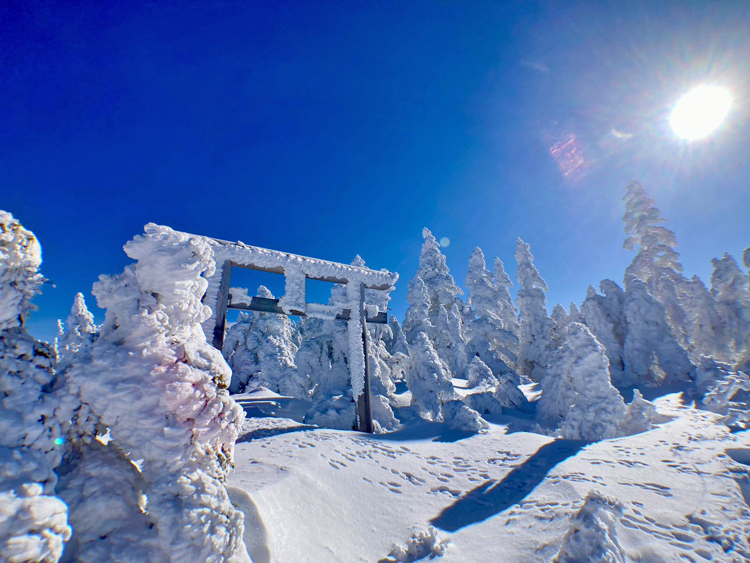 Welcome to Shiga Kogen ! | Shiga Kogen Nature Conservation Center