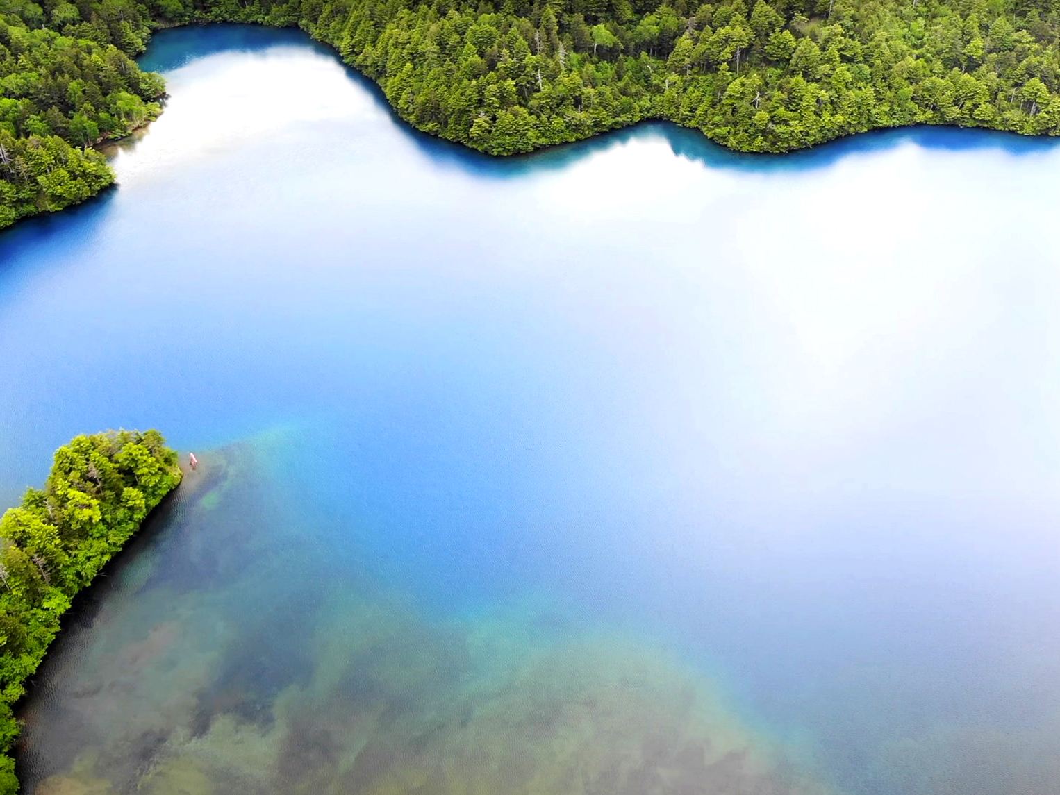 Welcome to Shiga Kogen ! | Shiga Kogen Nature Conservation Center