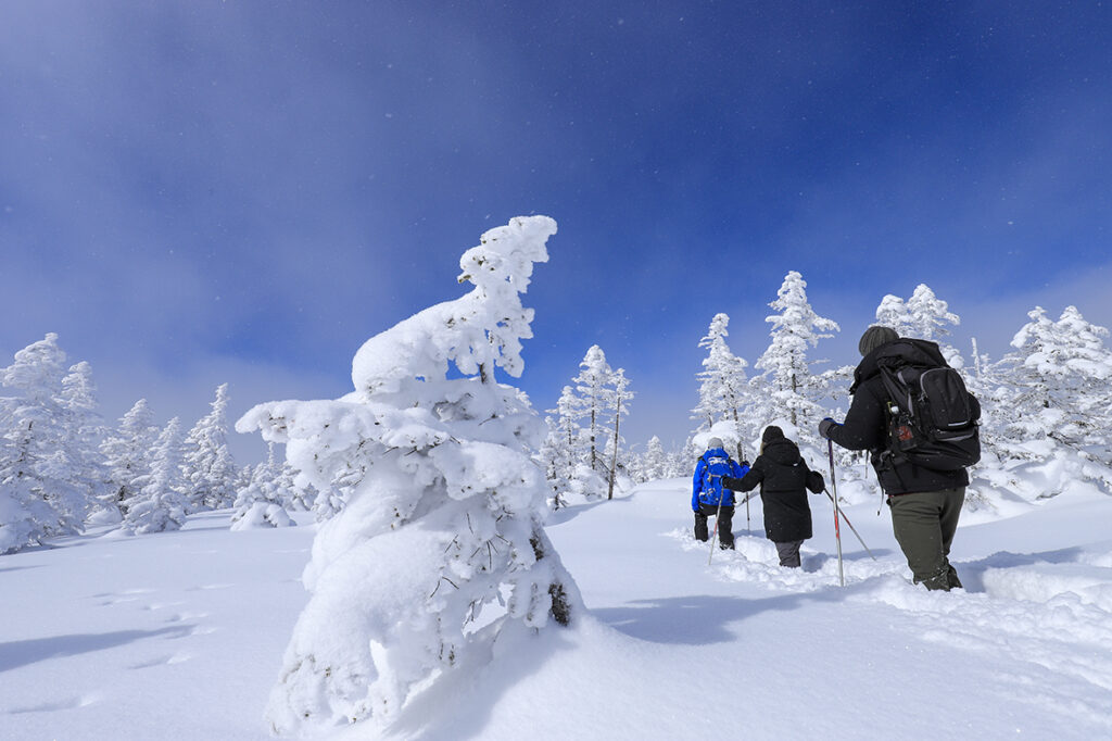 Winter Season | Shiga Kogen Nature Conservation Center