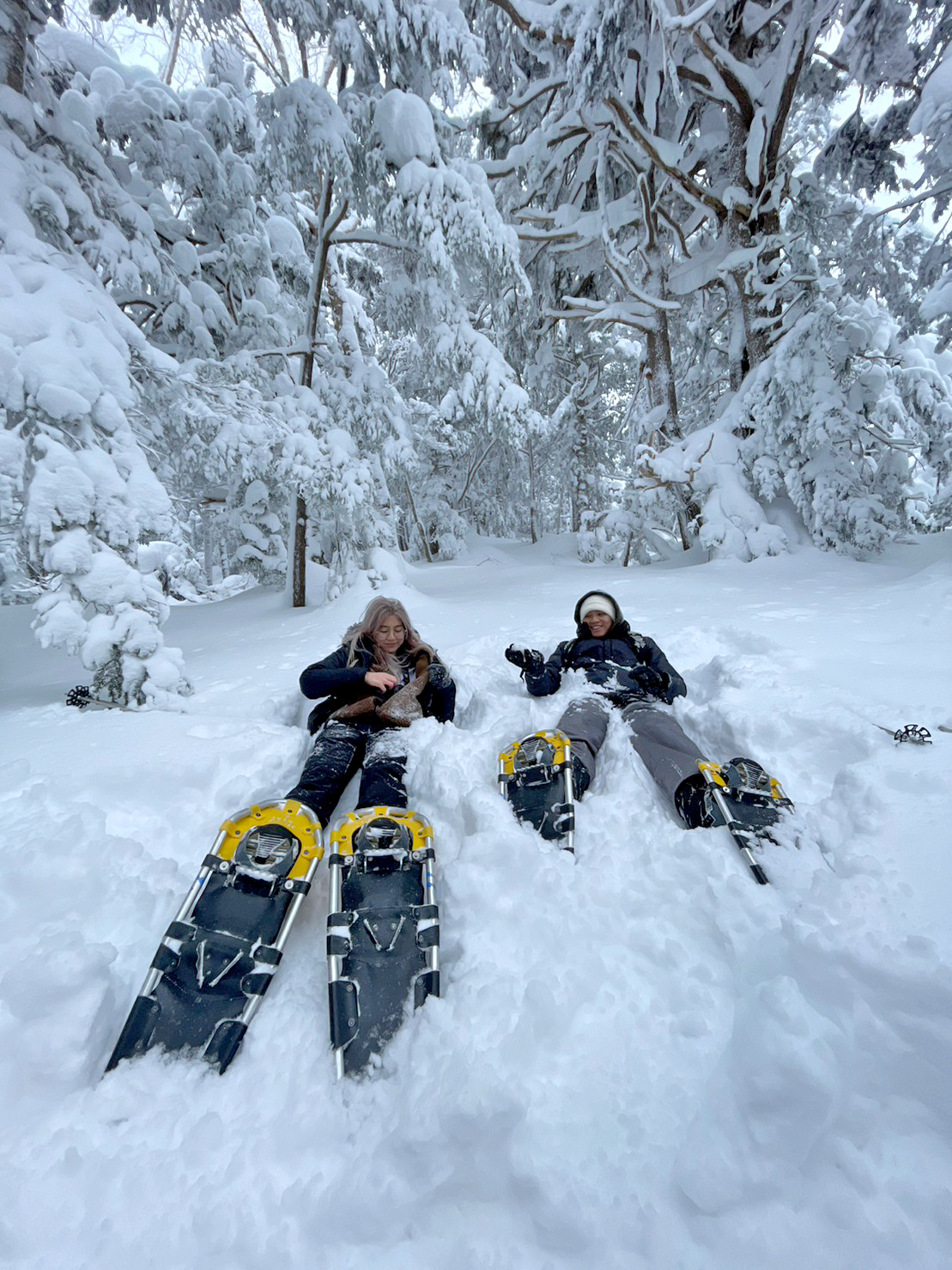 Winter Season | Shiga Kogen Nature Conservation Center