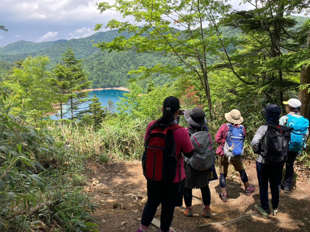 四十八池湿原・大沼池コース/Shijuhachi-ike Wetland and Onuma Pond Course | 自然トピックス ...