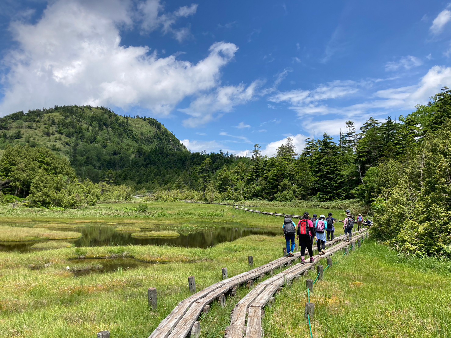 四十八池湿原・大沼池コース/Shijuhachi-ike Wetland and Onuma Pond Course | 自然トピックス ...