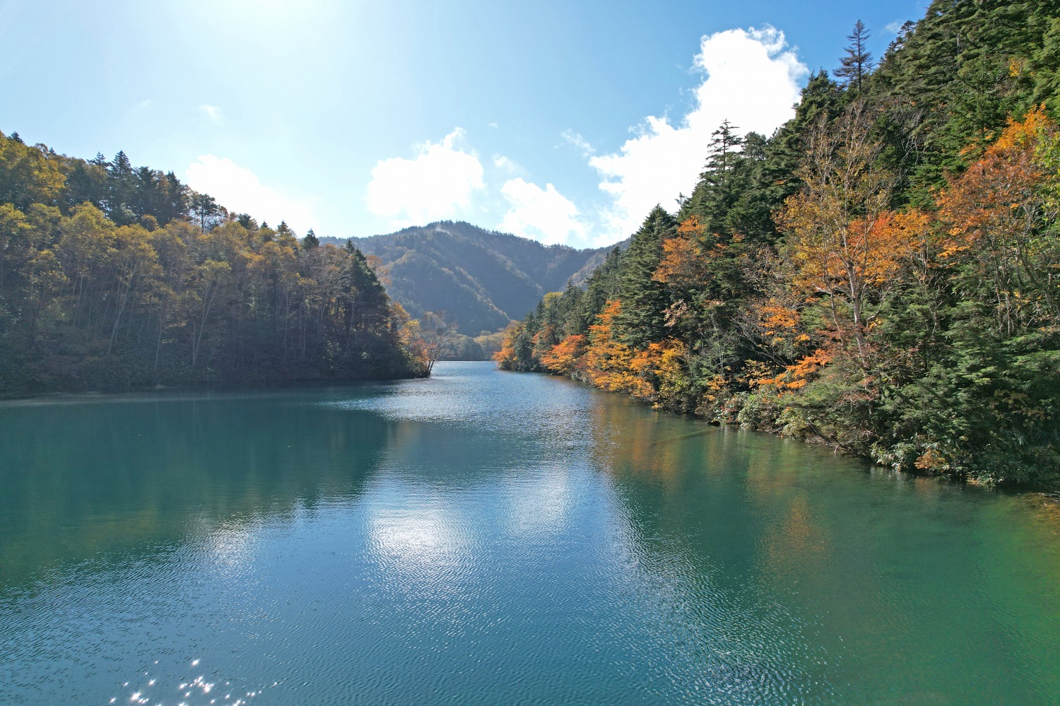 10月17日紅葉情報/October 17th Fall Foliage Update | 自然トピックス | 志賀高原自然保護センター