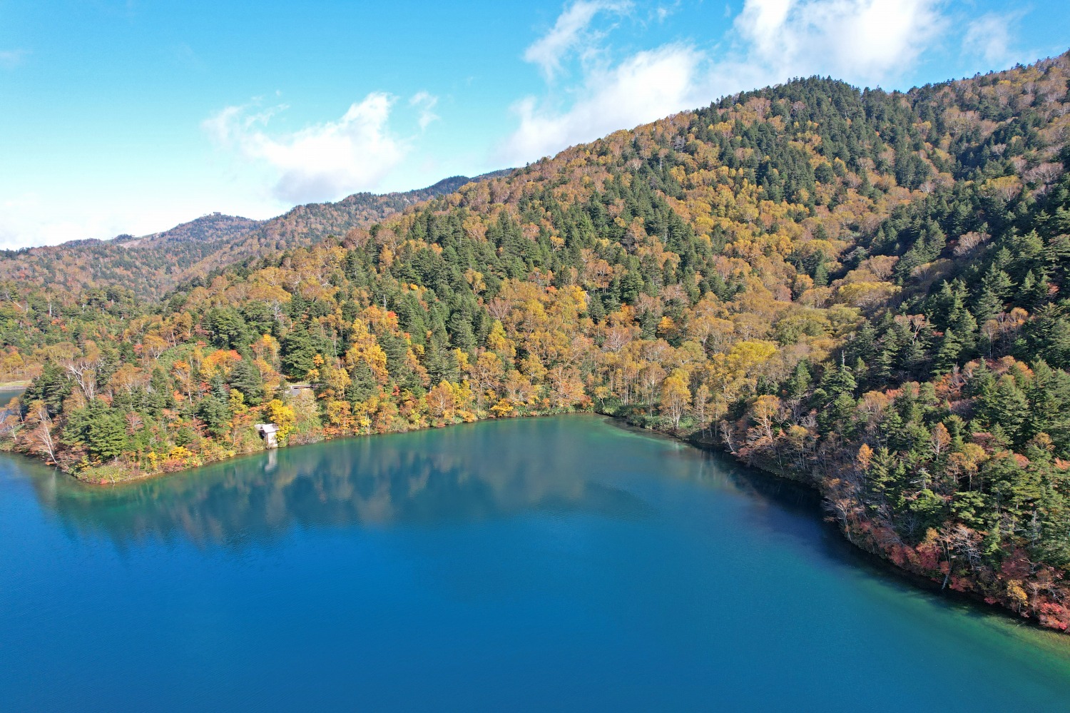 10月17日紅葉情報/October 17th Fall Foliage Update | 自然トピックス | 志賀高原自然保護センター