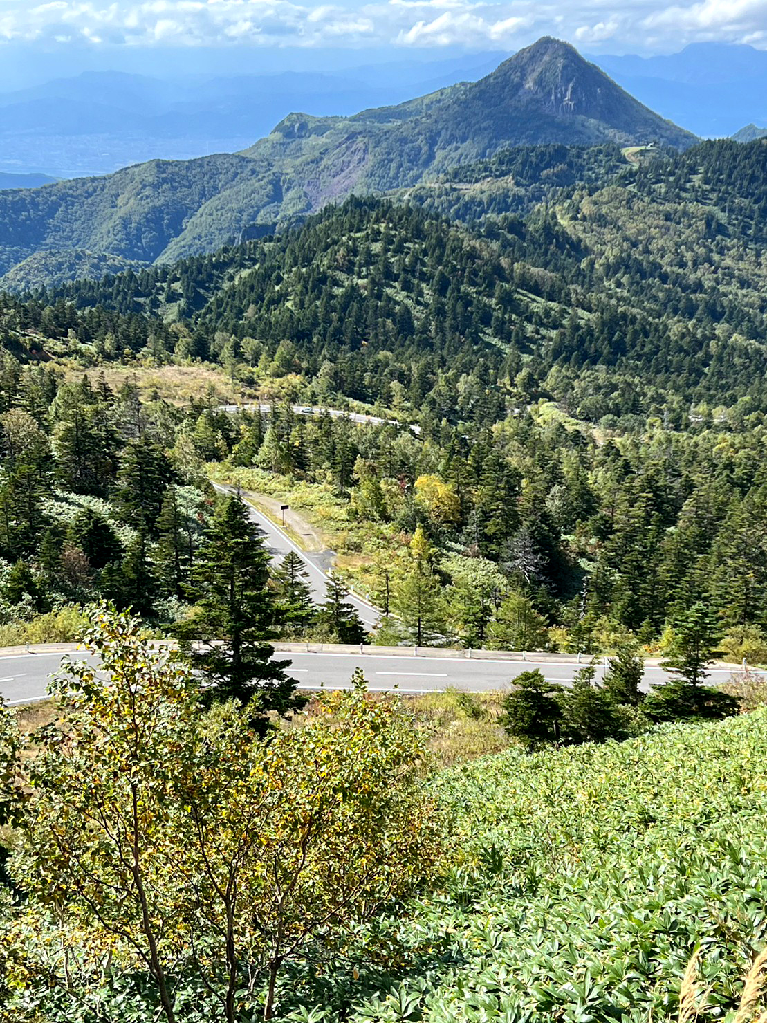 10月2日紅葉情報/October 2nd Fall Foliage Update | 自然トピックス | 志賀高原自然保護センター