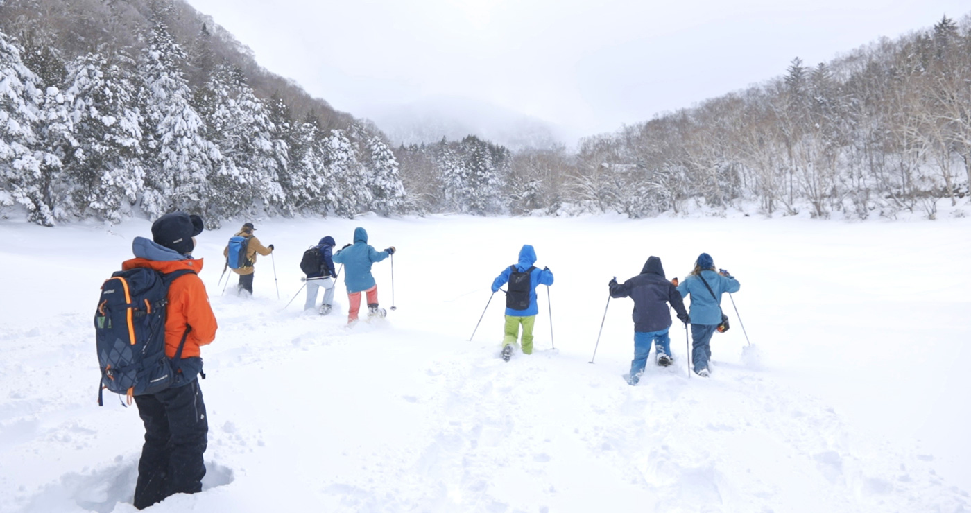 Winter Exclusive Tour | Shiga Kogen Nature Conservation Center